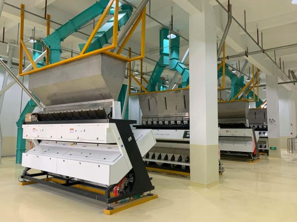 玉米面粉加工设备多少钱一套_玉米面粉加工设备哪家好-第2张图片-山城妙识 玉米面粉加工设备多少钱一套_玉米面粉加工设备哪家好-第2张图片-山城妙识