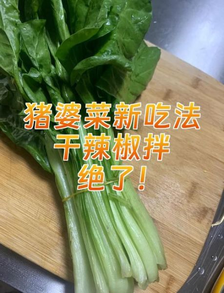 猪婆菜的功效与作用_猪婆菜怎么做好吃-第1张图片-山城妙识 猪婆菜的功效与作用_猪婆菜怎么做好吃-第1张图片-山城妙识