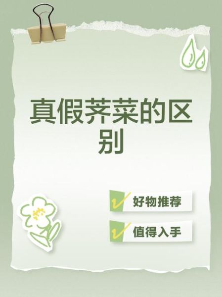 野生荠菜图片_如何辨别真假荠菜-第3张图片-山城妙识