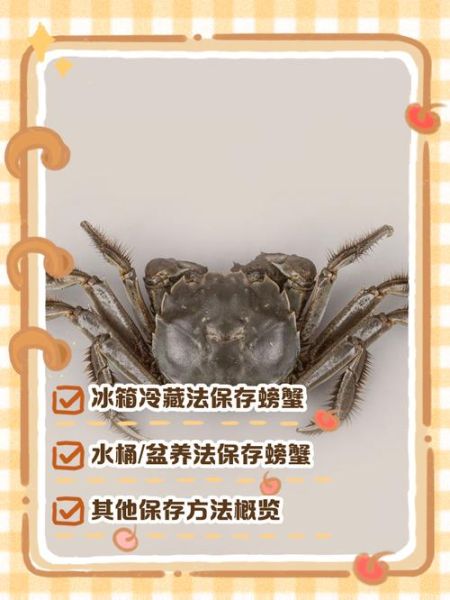 螃蟹怎么保存放冰箱_活螃蟹能冷藏多久-第1张图片-山城妙识 螃蟹怎么保存放冰箱_活螃蟹能冷藏多久-第1张图片-山城妙识