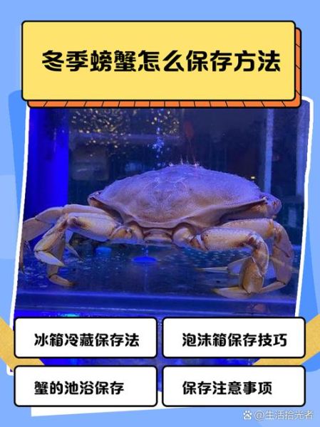 螃蟹怎么保存放冰箱_活螃蟹能冷藏多久-第2张图片-山城妙识 螃蟹怎么保存放冰箱_活螃蟹能冷藏多久-第2张图片-山城妙识