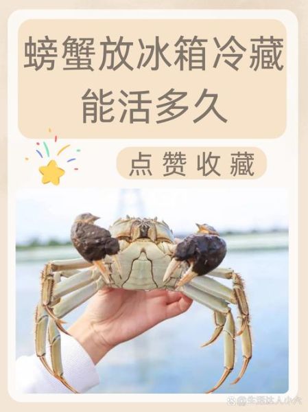 螃蟹怎么保存放冰箱_活螃蟹能冷藏多久-第3张图片-山城妙识 螃蟹怎么保存放冰箱_活螃蟹能冷藏多久-第3张图片-山城妙识