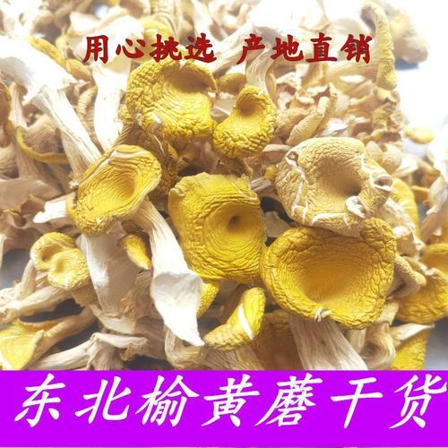 榆黄蘑好吃吗_榆黄蘑口感怎么样-第3张图片-山城妙识