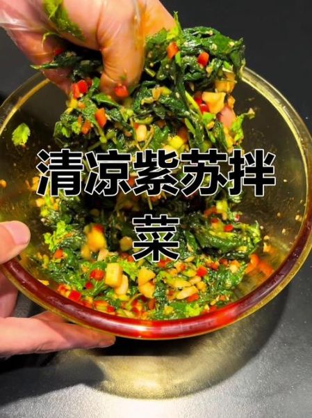 凉拌紫苏叶怎么做_凉拌紫苏叶怎么保存-第2张图片-山城妙识 凉拌紫苏叶怎么做_凉拌紫苏叶怎么保存-第2张图片-山城妙识