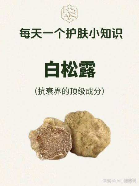 白松露菌提取物功效_白松露菌提取物怎么用-第1张图片-山城妙识