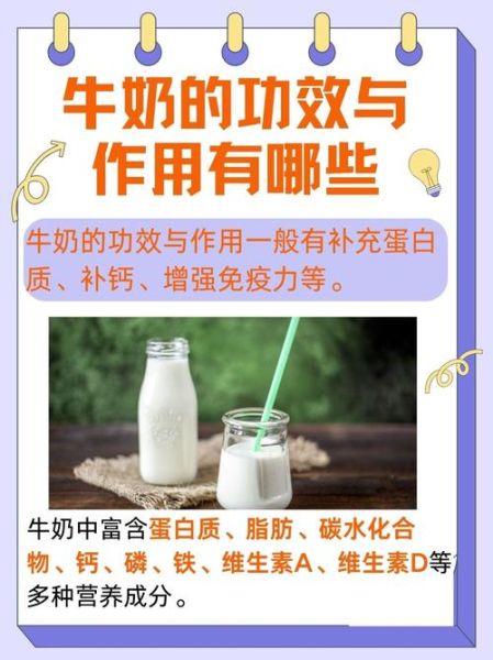 纯牛奶的功效与禁忌_每天喝多少合适-第2张图片-山城妙识 纯牛奶的功效与禁忌_每天喝多少合适-第2张图片-山城妙识