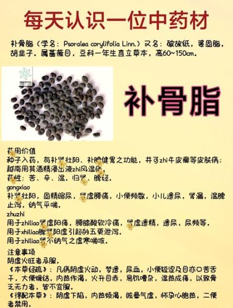 补骨脂的功效与作用_补骨脂能治什么病-第1张图片-山城妙识