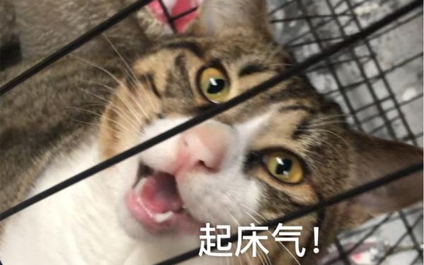 年糕君g是谁_年糕君g作品有哪些-第3张图片-山城妙识