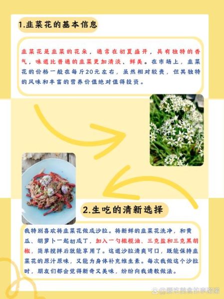 韭菜花和韭菜的区别_哪个更营养-第1张图片-山城妙识