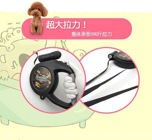 毛毛虫菠萝在线观看_哪里能免费看完整版-第1张图片-山城妙识 毛毛虫菠萝在线观看_哪里能免费看完整版-第1张图片-山城妙识