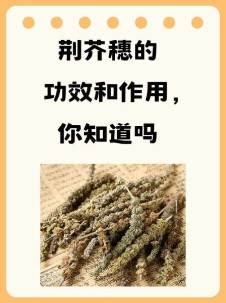 荆芥穗的功效与作用_荆芥穗主治哪些疾病-第1张图片-山城妙识