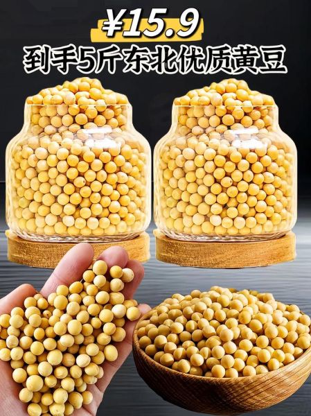 黄豆图片大全_黄豆长什么样-第3张图片-山城妙识