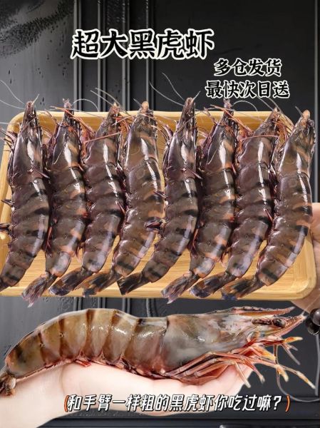 黑虎虾为什么那么便宜_黑虎虾低价原因-第3张图片-山城妙识
