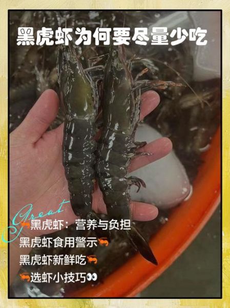 黑虎虾为什么那么便宜_黑虎虾低价原因-第2张图片-山城妙识
