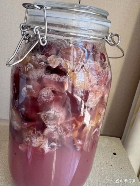 家庭自酿白葡萄酒怎么做_需要哪些材料-第3张图片-山城妙识