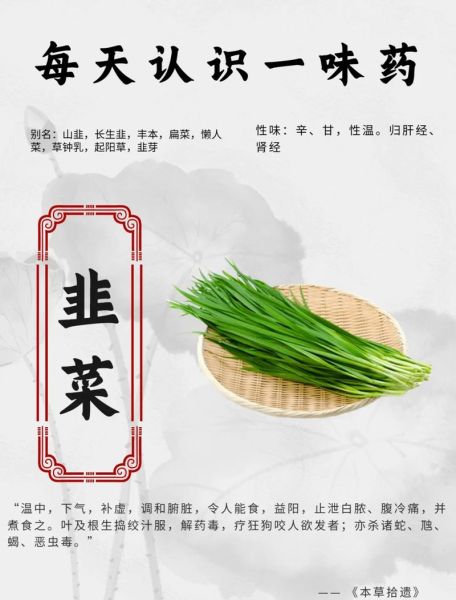 韭菜的副作用有哪些_韭菜什么人不能吃-第1张图片-山城妙识