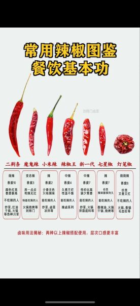 辣椒图片大全_如何识别不同品种-第2张图片-山城妙识