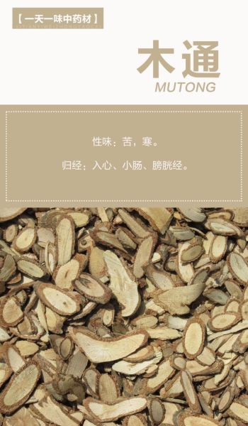 木通的功效与作用_木通能治哪些病-第2张图片-山城妙识 木通的功效与作用_木通能治哪些病-第2张图片-山城妙识