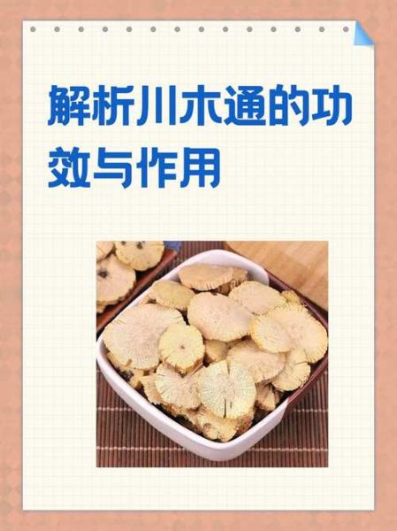 木通的功效与作用_木通能治哪些病-第3张图片-山城妙识 木通的功效与作用_木通能治哪些病-第3张图片-山城妙识