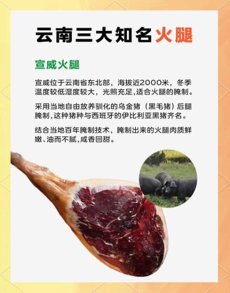 3年宣威火腿多少钱一斤_宣威火腿价格行情-第1张图片-山城妙识 3年宣威火腿多少钱一斤_宣威火腿价格行情-第1张图片-山城妙识