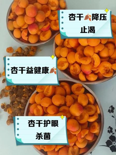 杏干的功效与作用及禁忌_什么人不能吃杏干-第1张图片-山城妙识