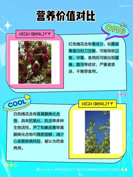 红花槐图片_红花槐和香花槐区别-第2张图片-山城妙识 红花槐图片_红花槐和香花槐区别-第2张图片-山城妙识