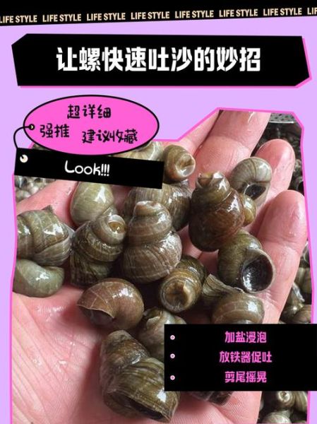 田螺怎么吐泥沙最快最干净_田螺吐沙最快的方法-第1张图片-山城妙识 田螺怎么吐泥沙最快最干净_田螺吐沙最快的方法-第1张图片-山城妙识