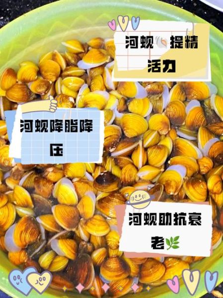 河蚬怎么读_河蚬的读音和营养价值-第3张图片-山城妙识 河蚬怎么读_河蚬的读音和营养价值-第3张图片-山城妙识