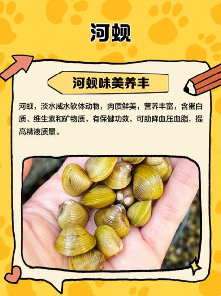 河蚬怎么读_河蚬的读音和营养价值-第1张图片-山城妙识 河蚬怎么读_河蚬的读音和营养价值-第1张图片-山城妙识