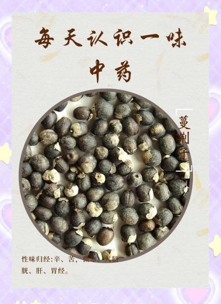 蔓荆子别名是什么_蔓荆子功效与作用-第3张图片-山城妙识