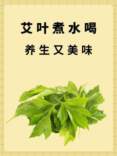 干艾叶熬水喝的功效_干艾叶水能天天喝吗-第2张图片-山城妙识 干艾叶熬水喝的功效_干艾叶水能天天喝吗-第2张图片-山城妙识