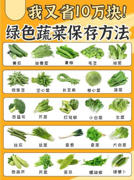 蔬菜名称图片大全_如何快速识别常见蔬菜-第2张图片-山城妙识