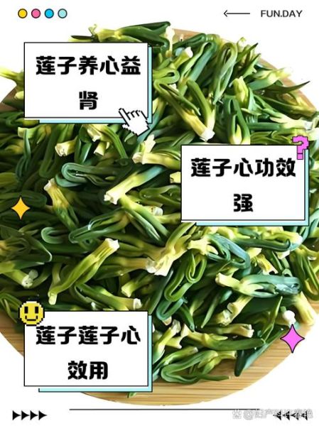 莲子心最佳配伍_莲子心和什么搭配不上火-第1张图片-山城妙识