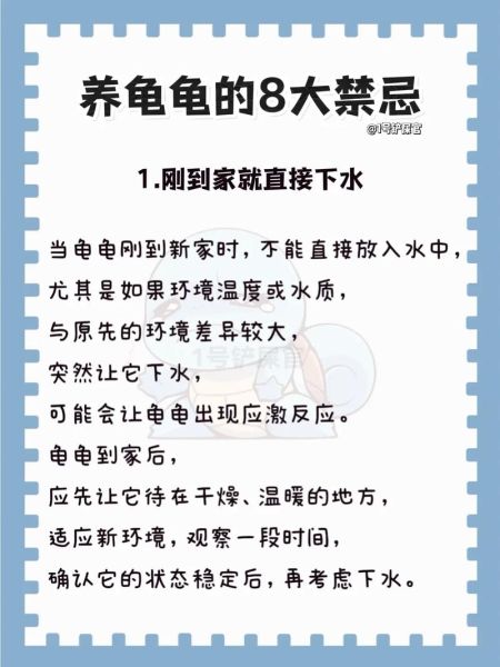 乌龟捡回家有什么禁忌_捡到乌龟怎么处理才吉利-第2张图片-山城妙识 乌龟捡回家有什么禁忌_捡到乌龟怎么处理才吉利-第2张图片-山城妙识