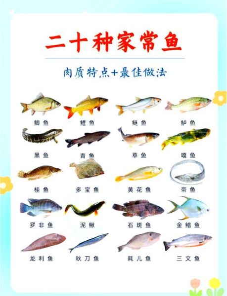 草鲤鱼怎么做好吃_草鲤鱼做法大全-第2张图片-山城妙识