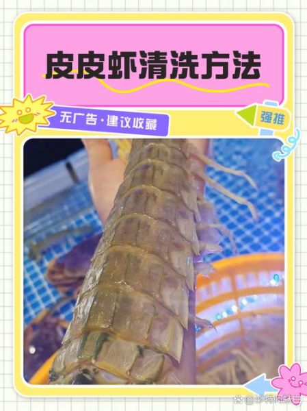 皮皮虾怎么处理_皮皮虾怎么清洗才干净-第1张图片-山城妙识