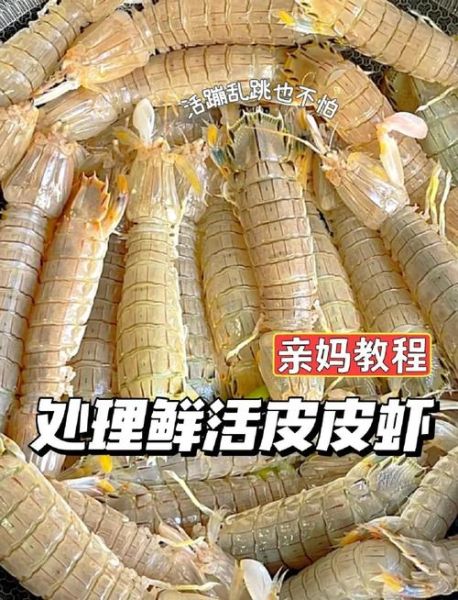 皮皮虾怎么处理_皮皮虾怎么清洗才干净-第2张图片-山城妙识