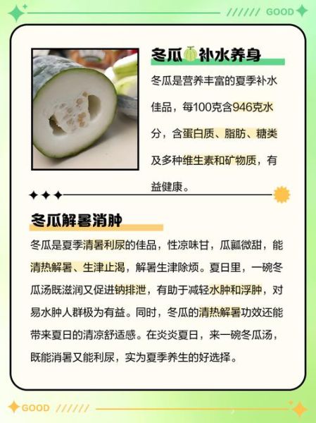 冬瓜和什么搭配最好_冬瓜怎么搭配最营养-第3张图片-山城妙识