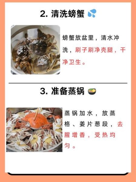 如何正确吃螃蟹_清蒸大闸蟹步骤图解-第3张图片-山城妙识