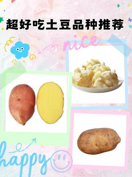 马铃薯品种有哪些_马铃薯品种怎么选-第3张图片-山城妙识
