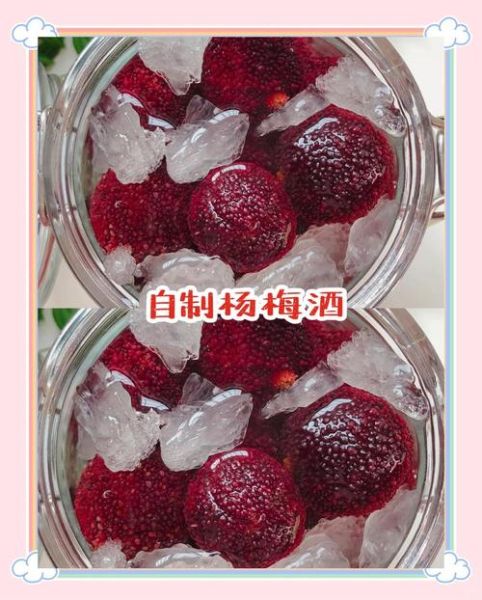 杨梅酒怎么泡_自酿杨梅酒的做法步骤-第3张图片-山城妙识