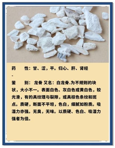 龙骨是哪个部位_龙骨在中医里指什么-第3张图片-山城妙识