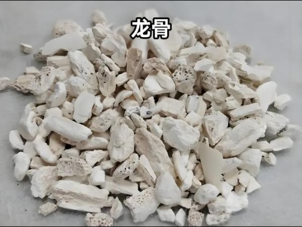 龙骨是哪个部位_龙骨在中医里指什么-第1张图片-山城妙识