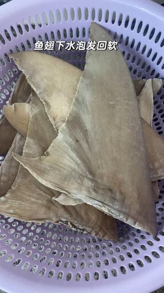 鱼翅怎么泡发最快_鱼翅快速泡发方法-第3张图片-山城妙识 鱼翅怎么泡发最快_鱼翅快速泡发方法-第3张图片-山城妙识