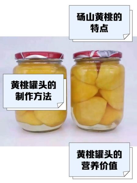 砀山黄桃罐头代理加盟多少钱_砀山黄桃罐头代理加盟流程-第1张图片-山城妙识 砀山黄桃罐头代理加盟多少钱_砀山黄桃罐头代理加盟流程-第1张图片-山城妙识