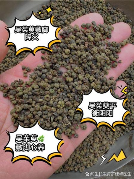 吴茱萸的功效与作用_吴茱萸的禁忌有哪些-第3张图片-山城妙识