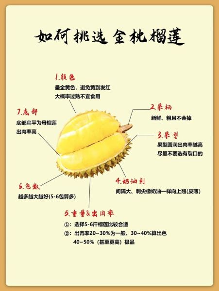 怎么挑选榴莲_榴莲怎么挑才肉多-第2张图片-山城妙识