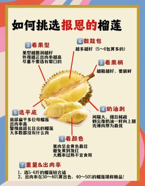 怎么挑选榴莲_榴莲怎么挑才肉多-第1张图片-山城妙识