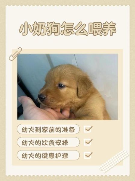 小奶狗app福引导怎么用_小奶狗app福引导安全吗-第1张图片-山城妙识