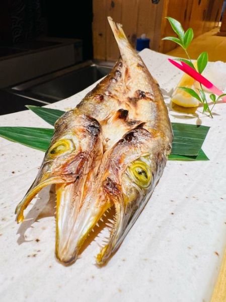 梭子鱼图片大全_如何辨别真假-第3张图片-山城妙识